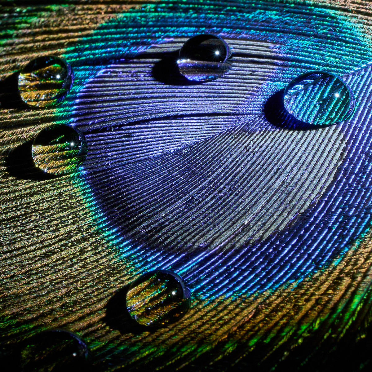 March 2024 - Tabletop theme - Witham and District (Essex)