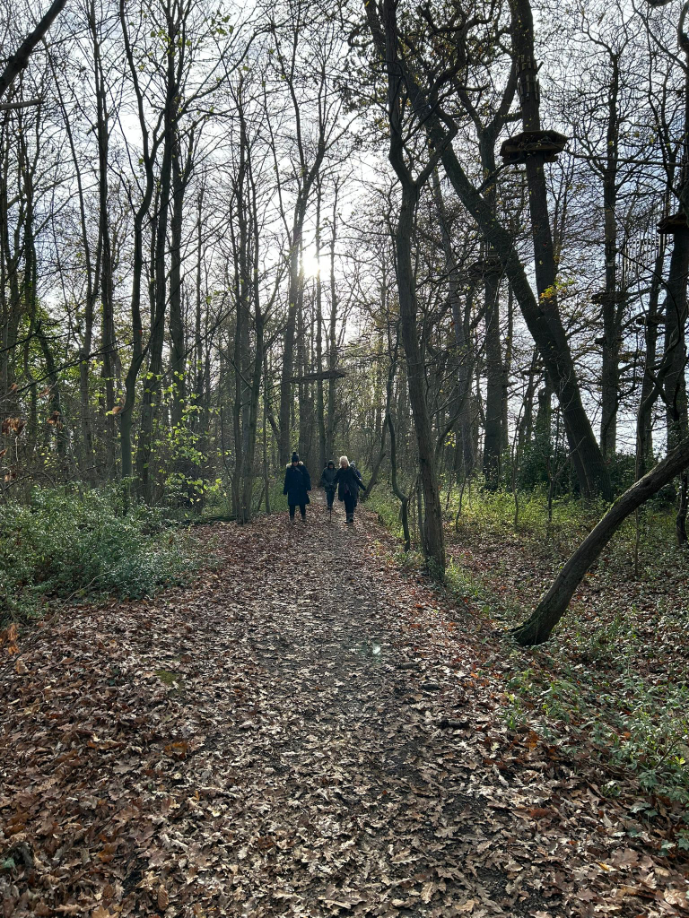 Writtle Green - Hylands Park - November 2025 - Witham and District (Essex)